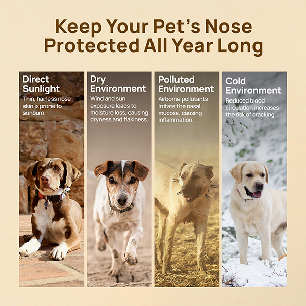 HICC PET® Nose Balm (30g) | DCH Living