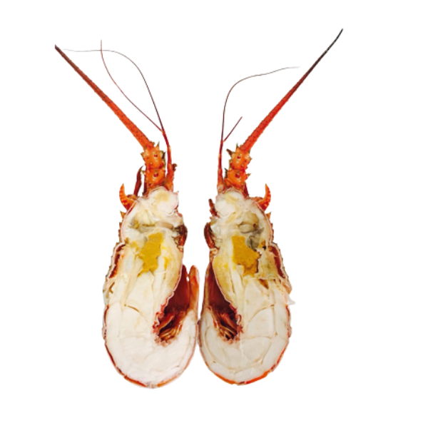 [Pre-split] Whole Cooked Lobster (approx. 400-450g) (Frozen -18°C ...